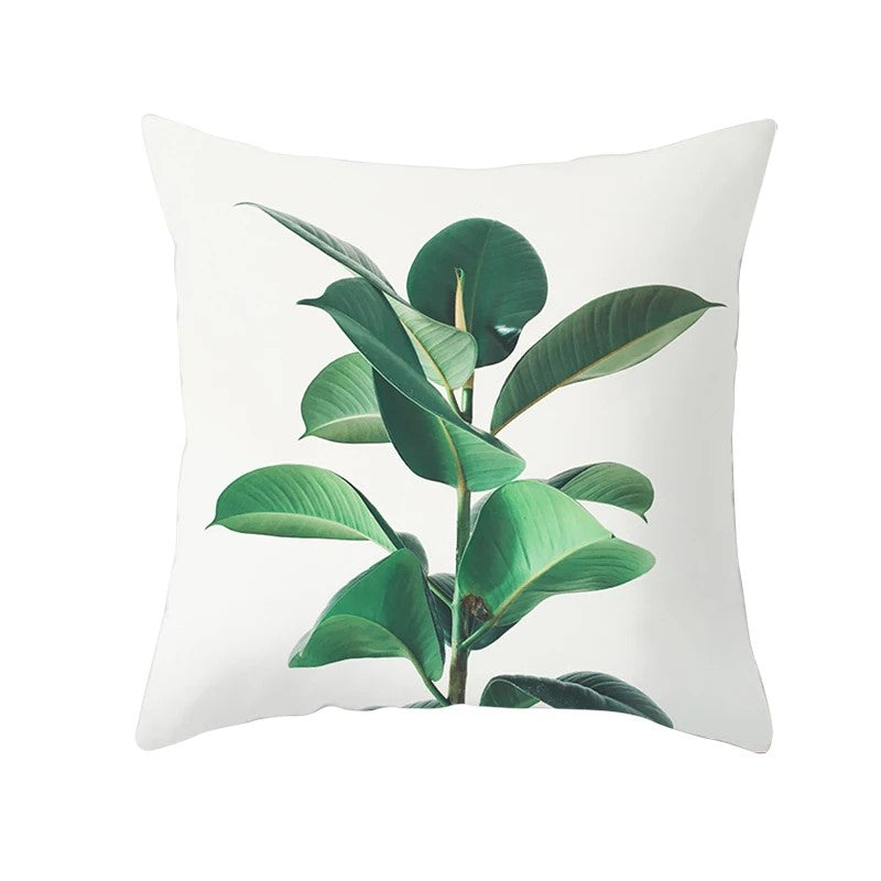 Lone Plant – The Cosy Dot